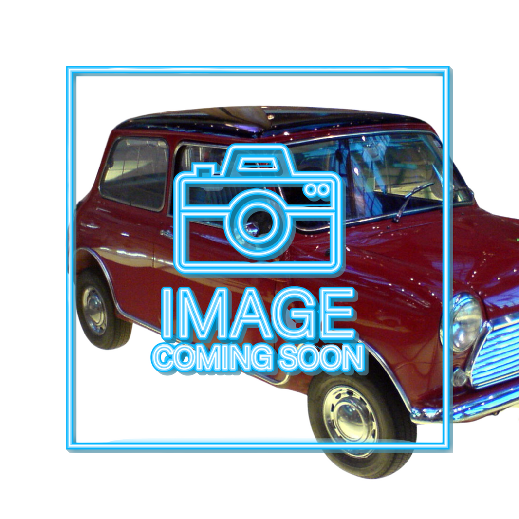 Mini – The Fibreglass Factory